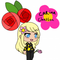 Power Wiki – Carina M. Claesson