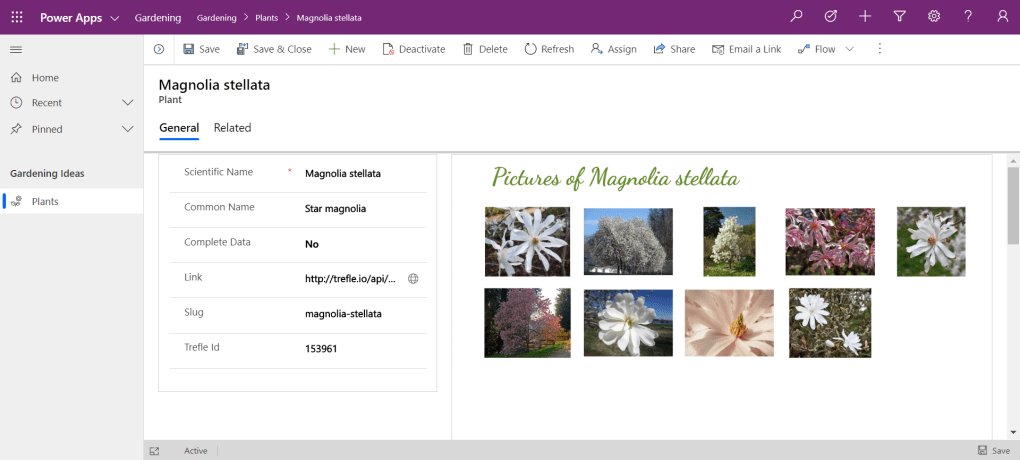 Exploring the ModelDrivenFormIntegration control in embedded Canvas ...