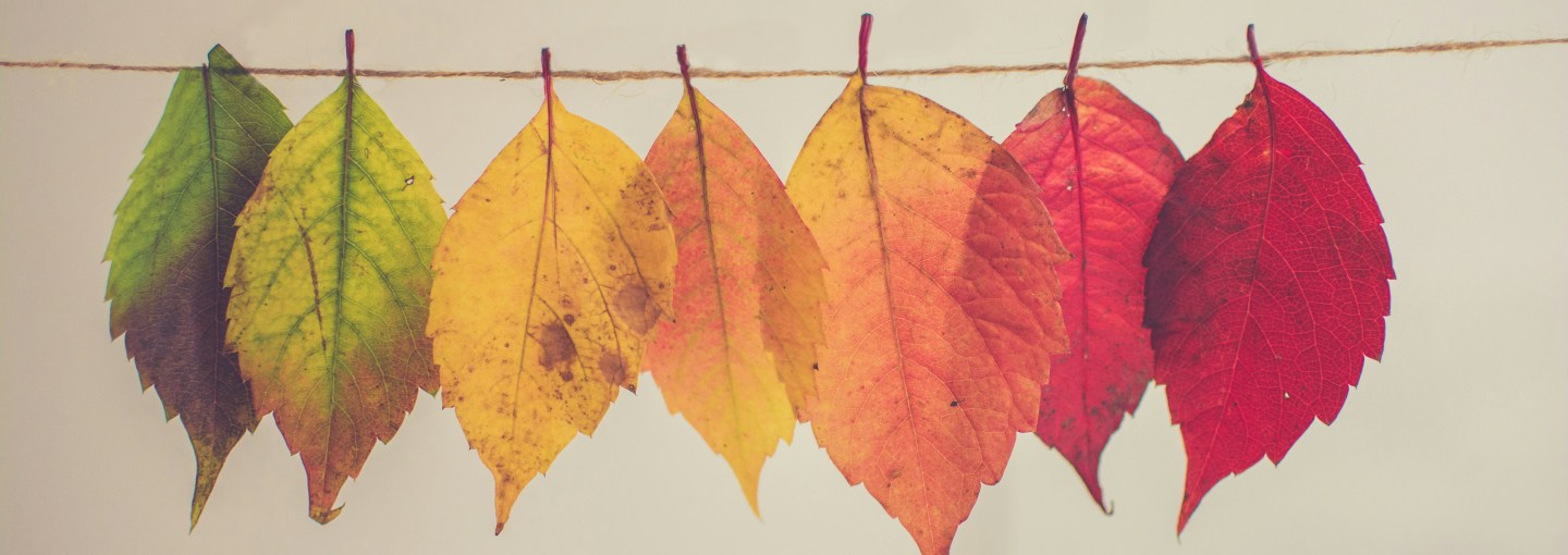 The ALM story for Custom Connectors – Carina M. Claesson